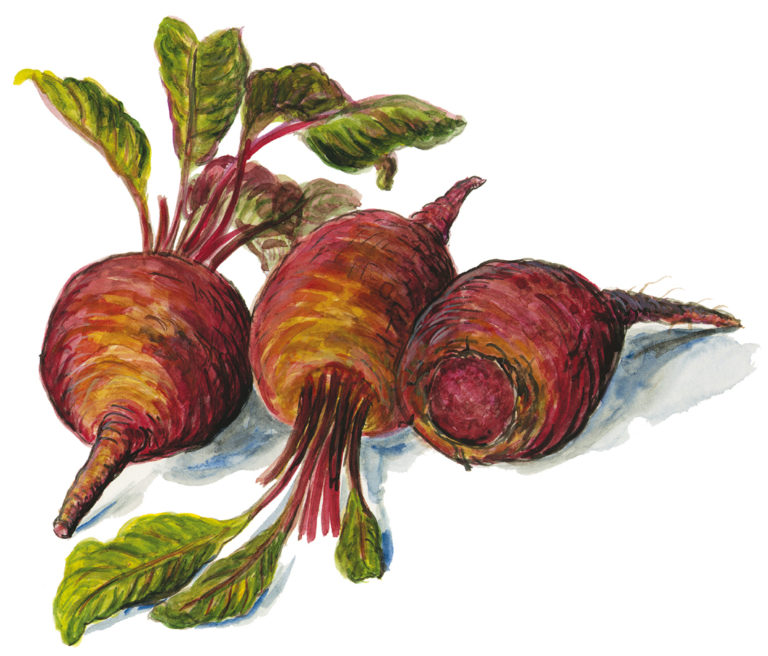 Rote Rüben – Hing´schaut und g´sund g´lebt | Die Nachlese mit ...